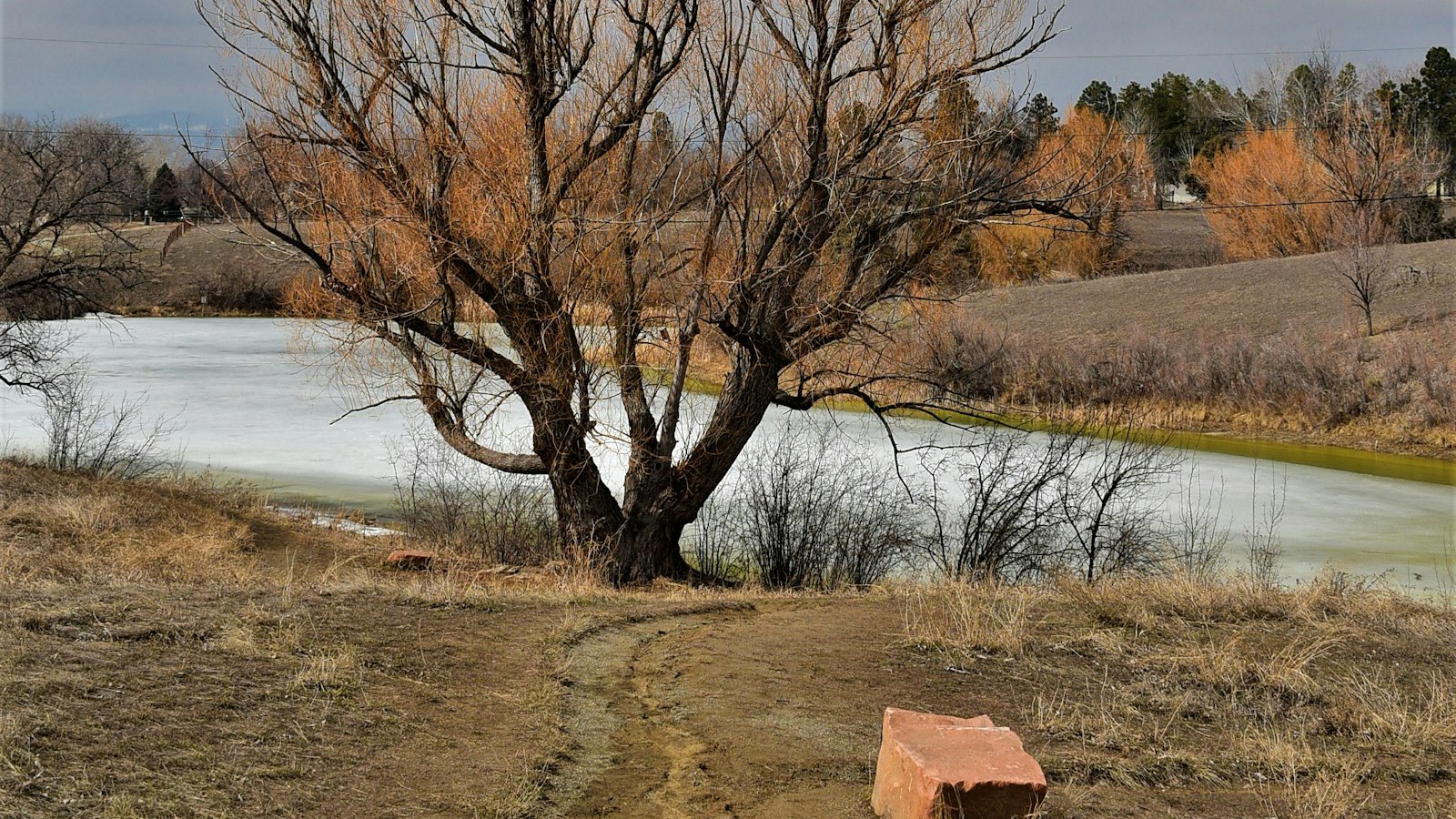 The 5 Best Co-Op Games for Videogame Enthusiasts – Play It Now Games